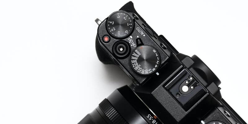 Top 5 Best Cameras for Safari in 2024 (Quick Guide)