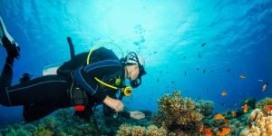 5 Best GoPro for Scuba Diving in 2024 (Fully Reviewed)